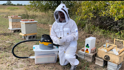 Tru Bee Removal – Find Local Honey