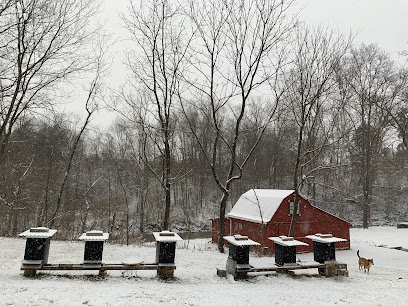 Honey Hoarder Bees – Find Local Honey