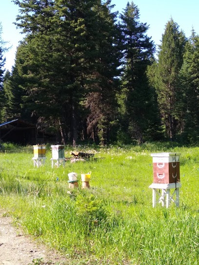 Bear Trap Canyon Apiary – Find Local Honey