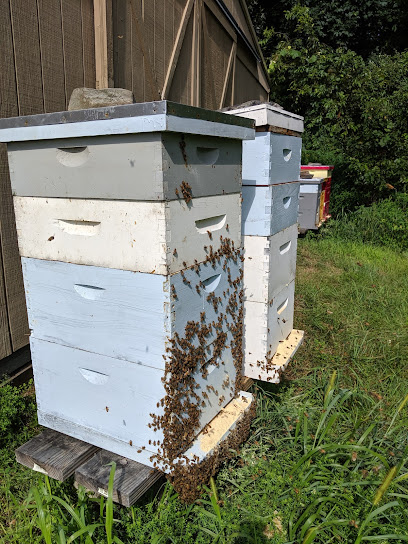 Buddha’s Bees Apiary – Find Local Honey