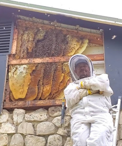 The Bee Guy Bee Removal – Find Local Honey