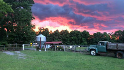 Old McCaskill’s Farm – Find Local Honey