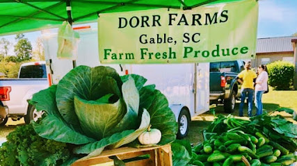 Dorr Farms – Find Local Honey
