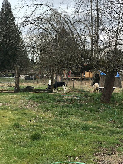 Old Cowlitz Landing Farm – Find Local Honey